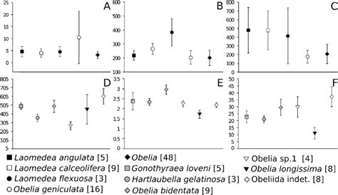 Mean ± Standard Deviation Of Morphometric Data For Obeliidae Data For Download Scientific