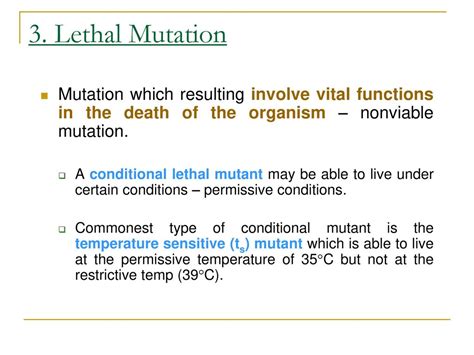 bakteriologi dan mikologi drh maxs u e sanam m sc ppt download