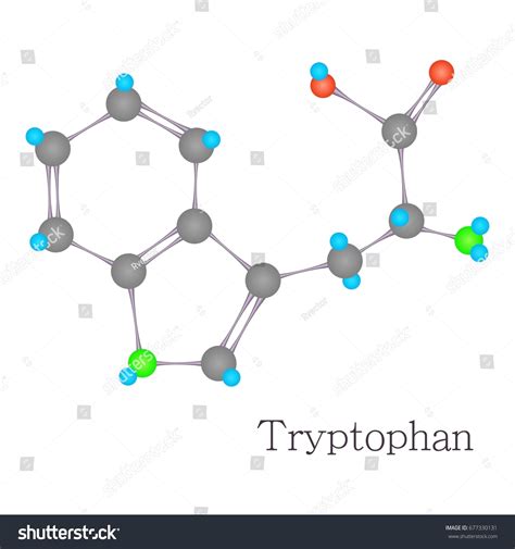 Tryptophan 3d Molecule Cartoon Illustration Tryptophan Stock Vector