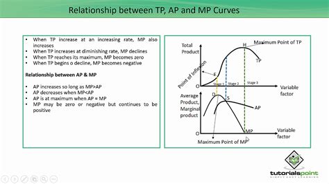 class 12th relationship between tp ap and mp curves economics