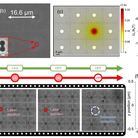 Get With Superimposed Plasmonic Trapping Potential And Download Scientific Diagram
