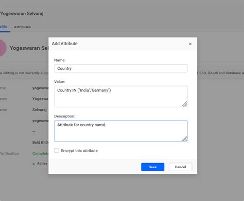secured data access with custom attribute bold bi docs