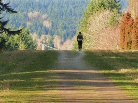 Tolt Pipeline Trail Is Made For Strolling And Rolling Kirkland WA Patch