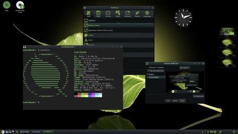 Bodhi Linux 7 0 Beta Is Now Available For Testing Omg Ubuntu