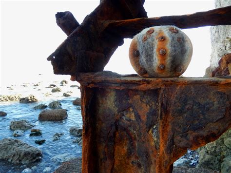 FELTING Matters EXPERIMENTS With RUST 3