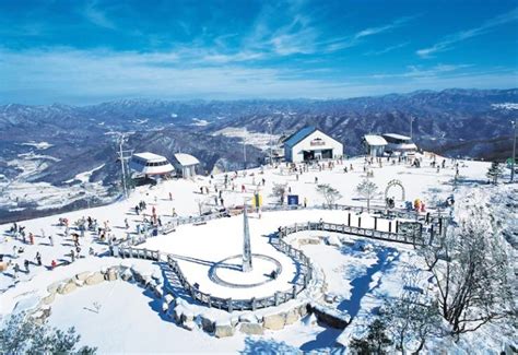 겨울엔 역시 스키장 찰떡궁합 강원도 리조트 Top 5