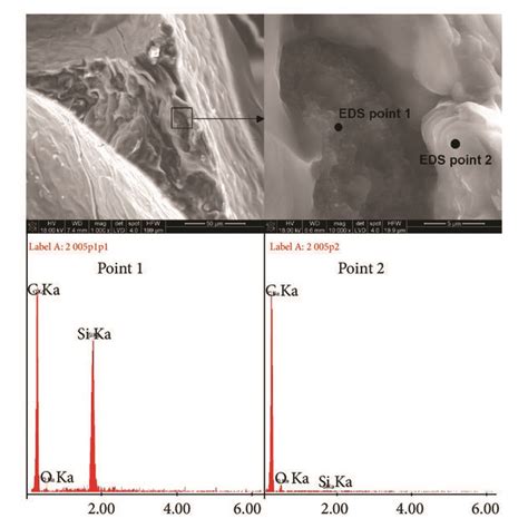 Raman Spectra Id Ig Ratio And Crystallite Sizes La Of Ctp Based Download Scientific Diagram