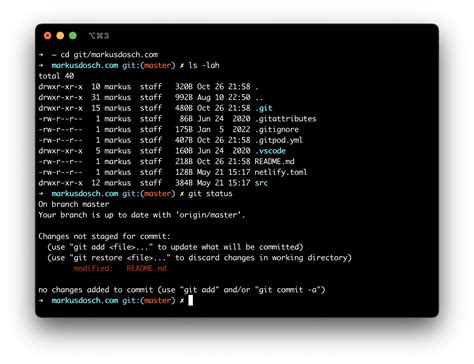 Customizing My Shell From Bash To Zsh To Fish Markus Dosch