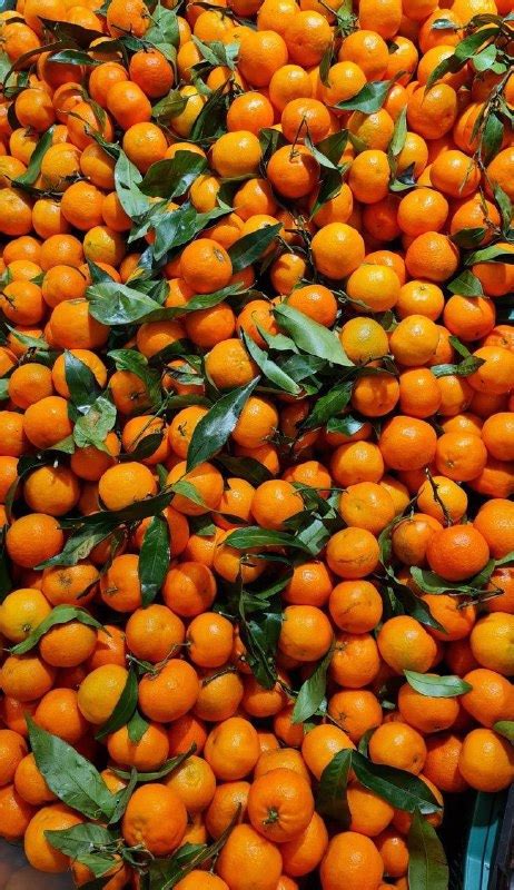 ️Совет Думы на заседании решил перенести на более поздний срок ратификацию протокола к