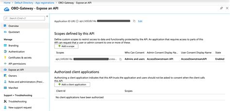 Pass Users Identity And Authorization From A Client Application To A