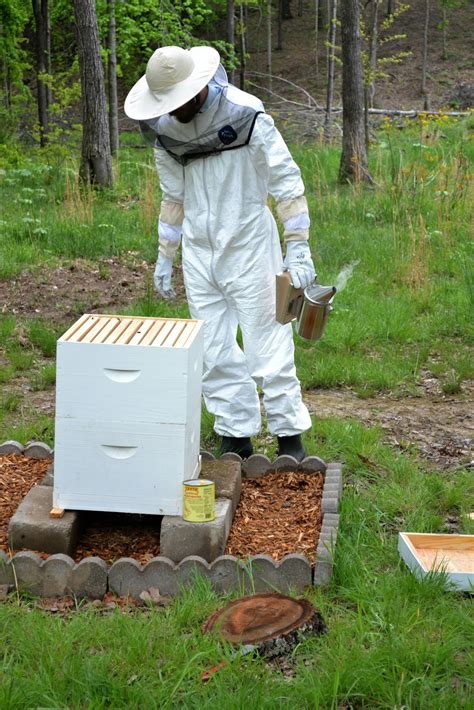 Our Neck Of The Woods Hive Inspection