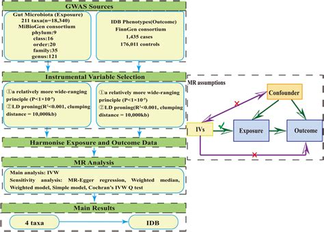 Study Design And MR Assumptions Download Scientific Diagram