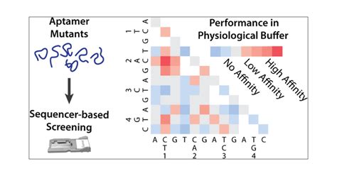 High Throughput Strategy For Enhancing Aptamer Performance Across