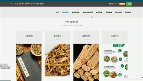 【技术免费分享 知识图谱的构建】springbootvuejs知识图谱中药可视化系统sparkspringbootvuejs Csdn博客