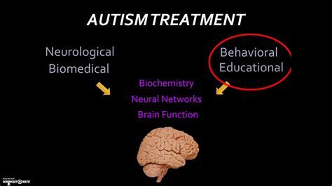 Mitochondrial Dysfunction In Autism Spectrum Disorders Part 2 Of 2