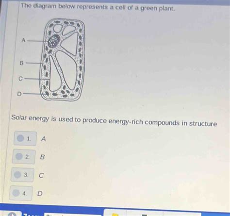 Solved The Diagram Below Represents A Cell Of A Green Plant Solar