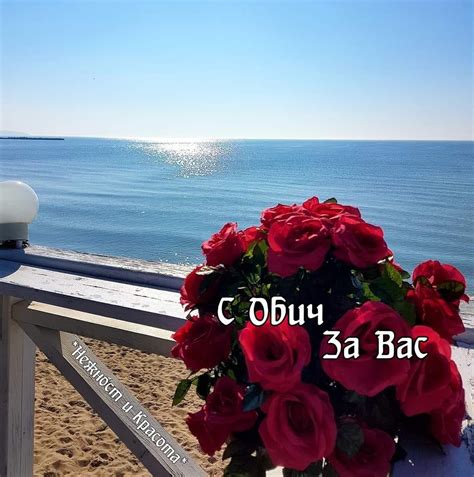 Аз Освен Световен ден на предизвикателството 17 Май е и Национален ден на спортиста