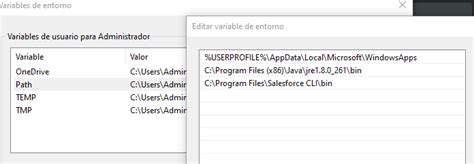 Salesforcedx Sfdx Is Not Recognized As An Internal Or External