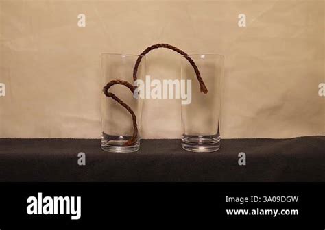 Capillary Tube Effect In Physics Water Transfer From A Full Glass To