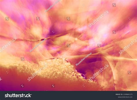 1 Hundred Four Dimensional Photography Royalty Free Images Stock