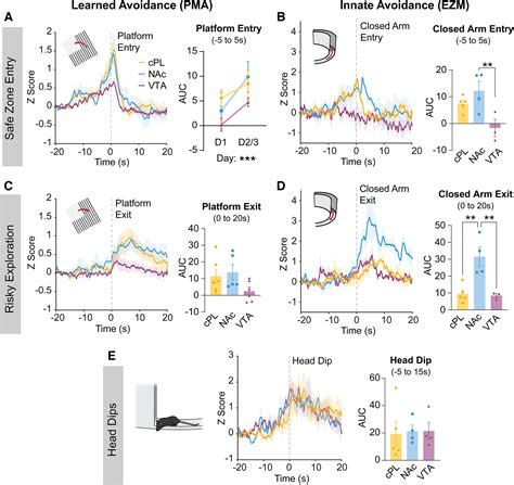 Brain Wide Projections And Differential Encoding Of Prefrontal Neuronal Classes Underlying