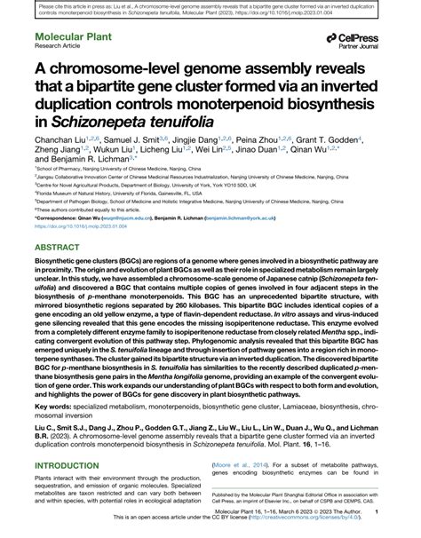 Pdf A Chromosome Level Genome Assembly Reveals That A Bipartite Gene