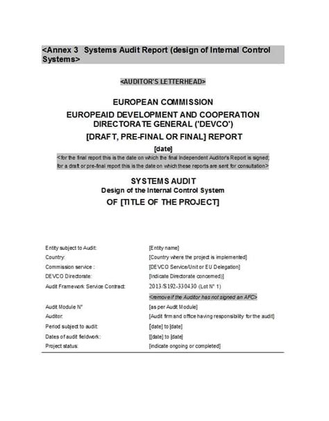 Template For Audit Report 7 TEMPLATES EXAMPLE TEMPLATES EXAMPLE Internal Control Internal
