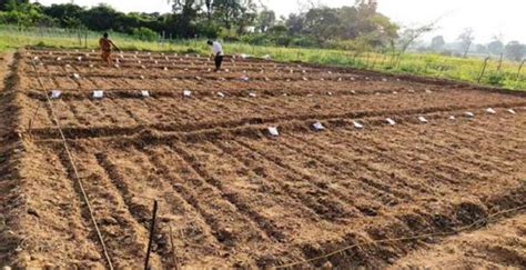 Seed Bed Preparation And Sowing Download Scientific Diagram
