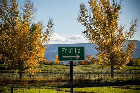 One Riverfront Concert Series Go Fruita