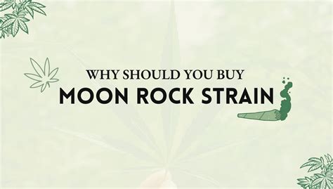 Elevate Your Mind And Body With Moon Rock Cannabis
