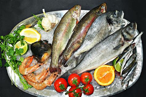 Fish Brothers Korpa Ba