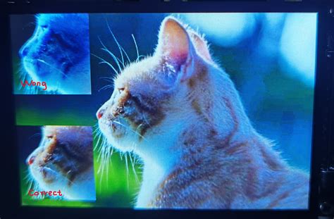 What Happend To Tft ReadRect And Tft PushRect Are There Bugs Bodmer TFT ESPI