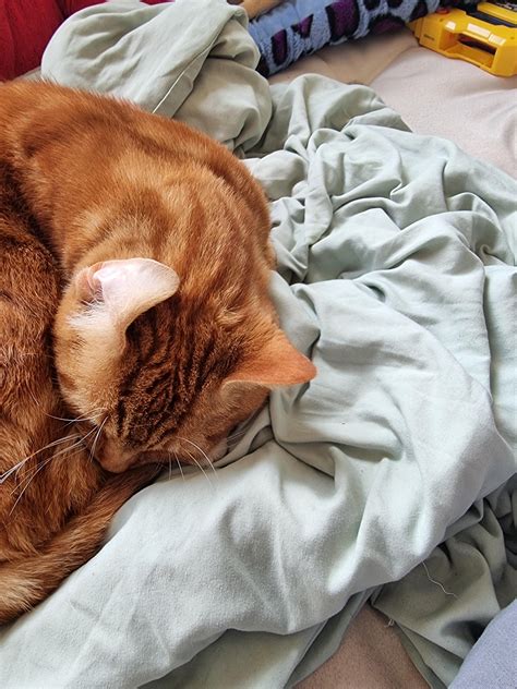 Hatches Open Ready For My Turn With The Braincell R