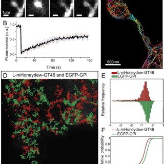 Single Particle Tracking And Fluorescence Recovery After Download Scientific Diagram