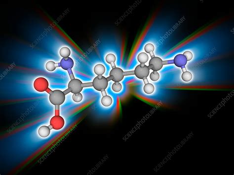 Lysine Organic Compound Molecule Stock Image F0170476 Science
