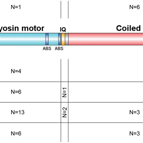 Distribution Count For Pathogenic Variants Of Various Das In Specific Download Scientific