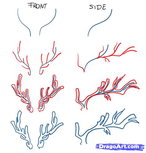 How To Draw Antlers Step By Step Deer Drawing Drawing Tutorial Easy Drawings