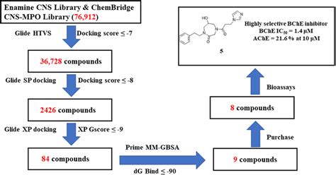 Docking Based Virtual Screening Protocol Used In The Virtual Screening Download Scientific