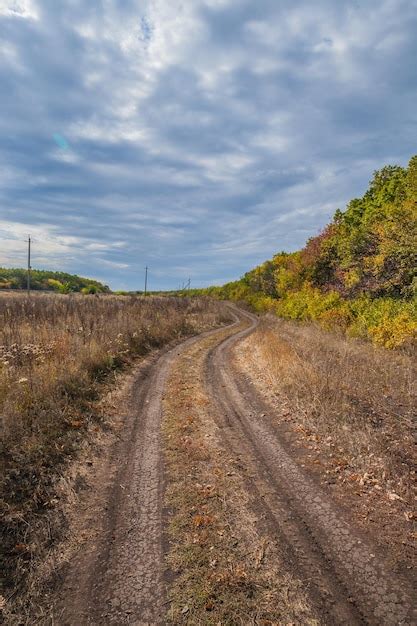 Premium Photo Pathway In The Forest