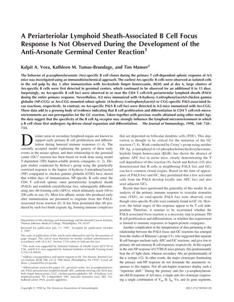 Pdf A Periarteriolar Lymphoid Sheath Associated B Cell Focus Response