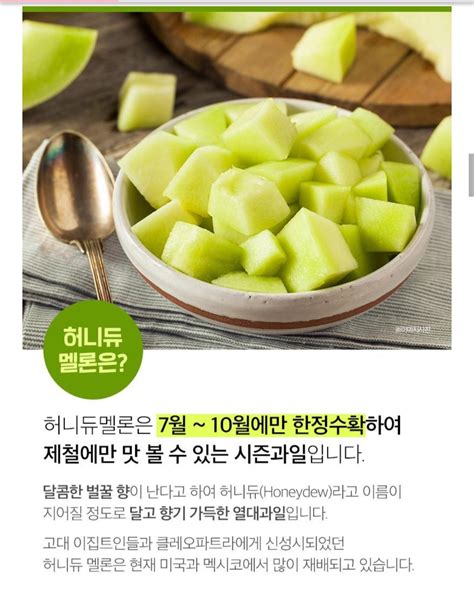 11번가 신세계푸드 허니듀멜론 6수 2입 4kg 내외 16900원 무료 포텐 터짐 최신순 에펨코리아