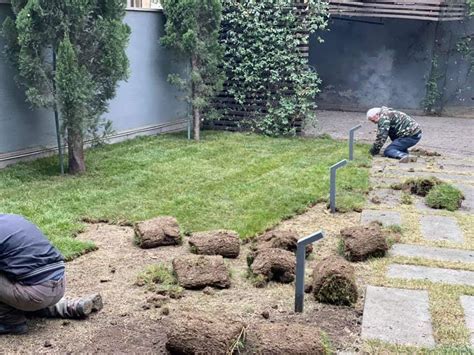 რულონური ბალახი ტყის მწვანე სახლი • Green House