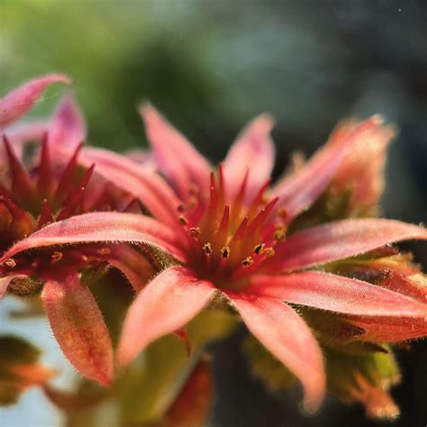 Texture Scout Texturescout • Instagram Photos And Videos