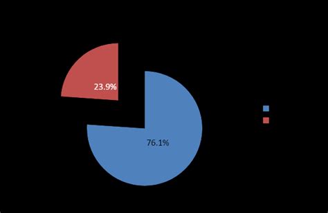 Pie Diagram Showing Percentage Distribution Of Age Of Postnatal Women Download Scientific