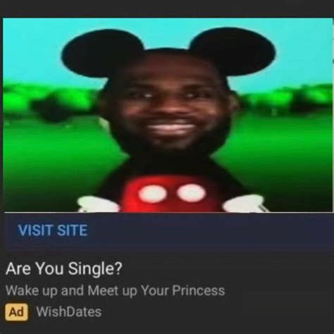 Mickey James Lebron Mouse In 2025 Really Funny Memes Bizarre Books Really Funny