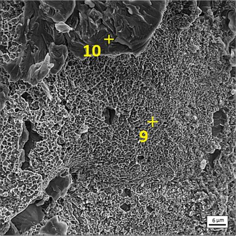 Mixed Fracture Surface In The Joint With Ag Cu Interlayers Download Scientific Diagram