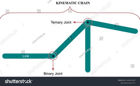 Kinematic Chain Body Photos Images And Pictures