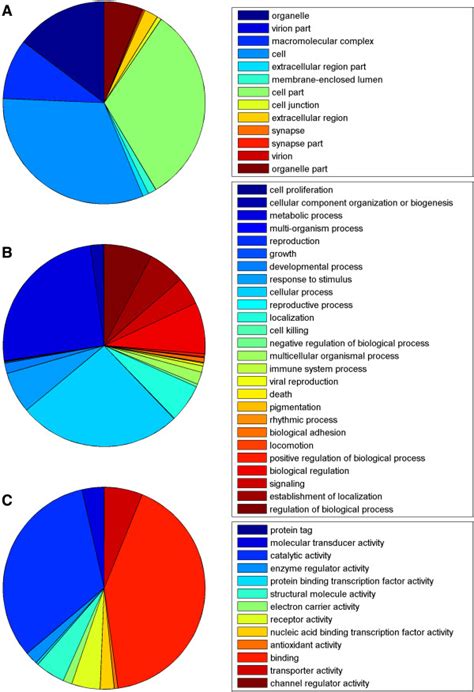 Functional Annotation Of Assembled Sequences Based On Gene Ontology Download Scientific Diagram