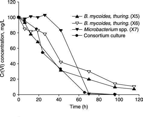 Figure 1 From Chromium Vi Reduction In Activated Sludge Bacteria