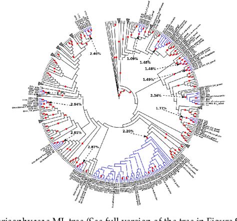 Figure 1 From Tracing The Origin Of Planktonic Protists In An Ancient Lake Semantic Scholar